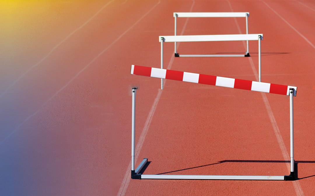 Access Hurdles for Businesses - Boundary Gate & Barrier